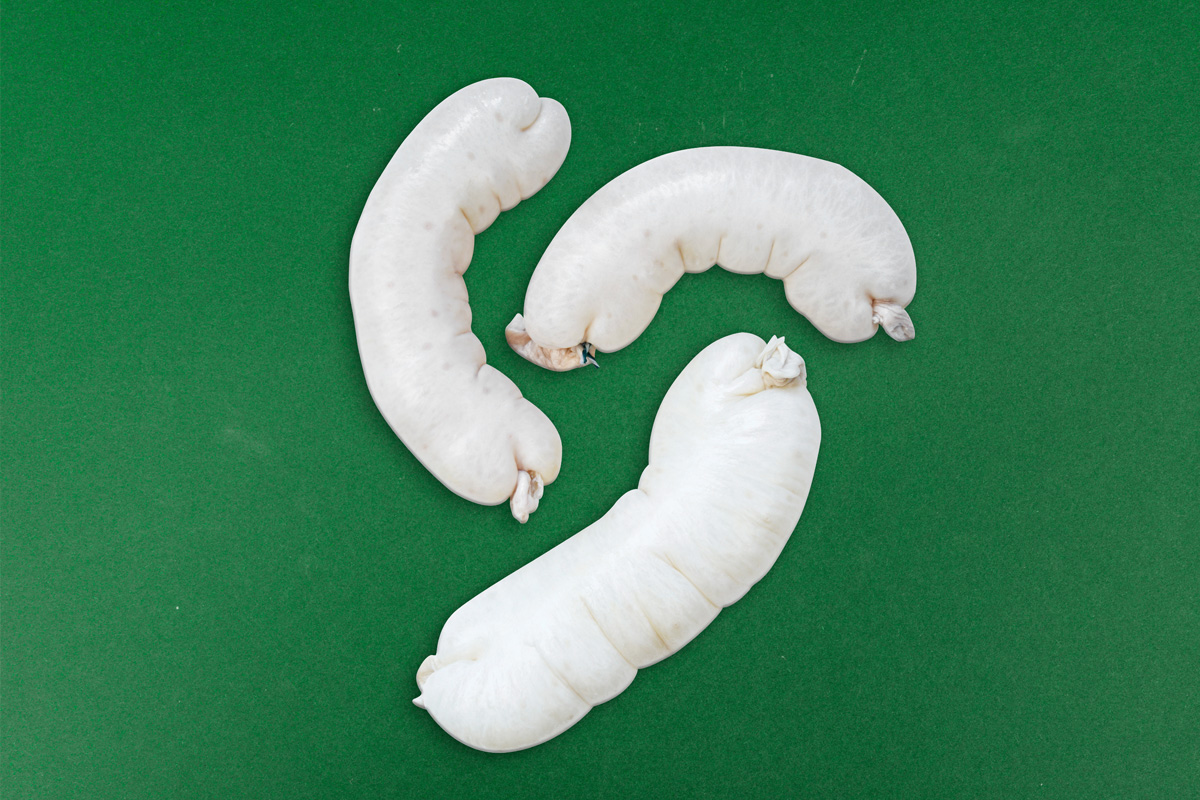 Chaudin - Lipco Naturdärme FR